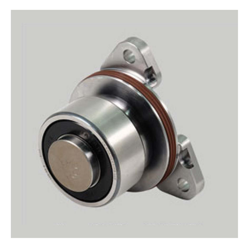 IMS Bearing Upgrade | LN Engineering | RPM Specialist Cars